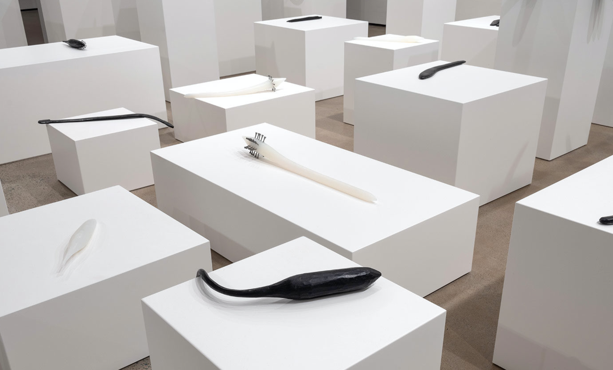 D Harding: Current Iterations | Johan Lundh